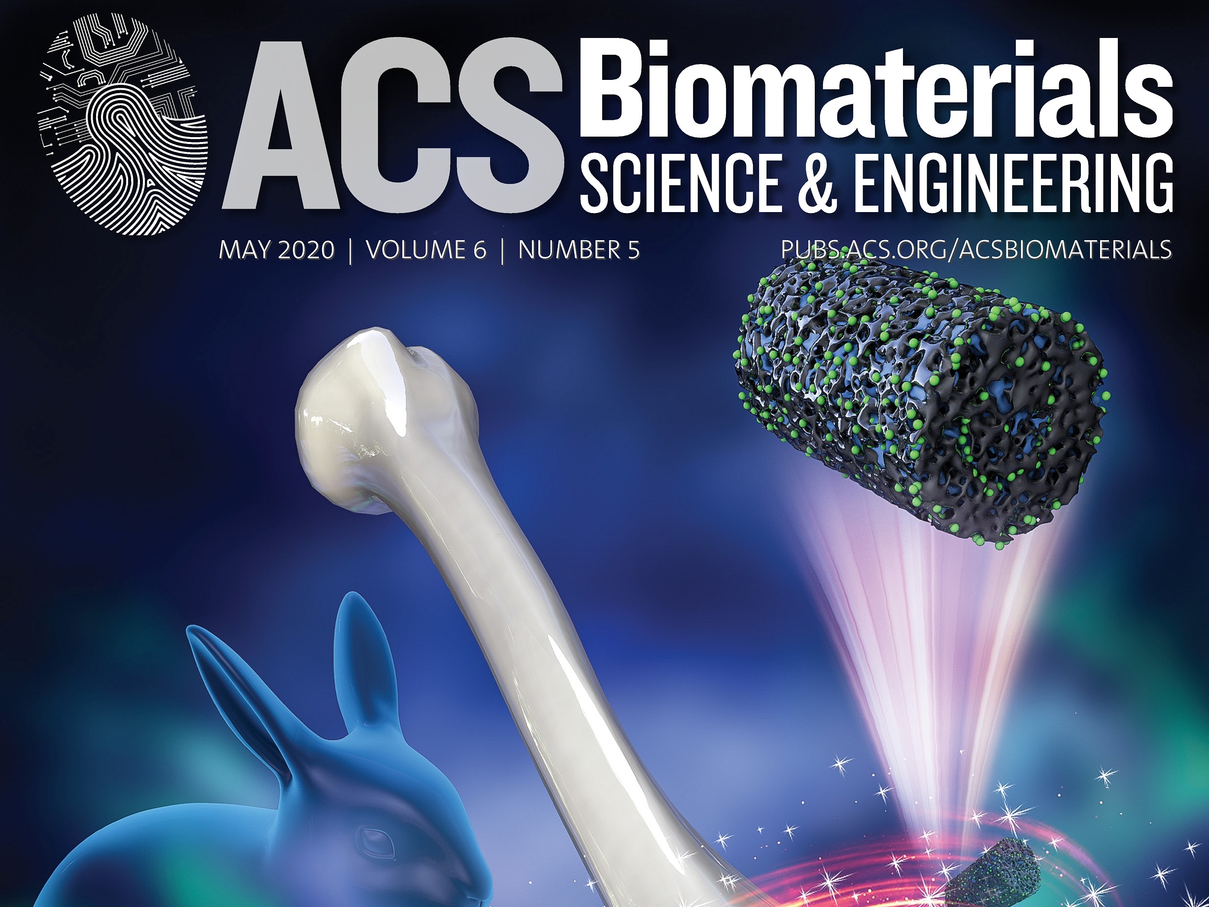 西西作品成功入选“美国化学会 ACS”旗下BSE期刊封面_西西智研科研绘图-站酷ZCOOL