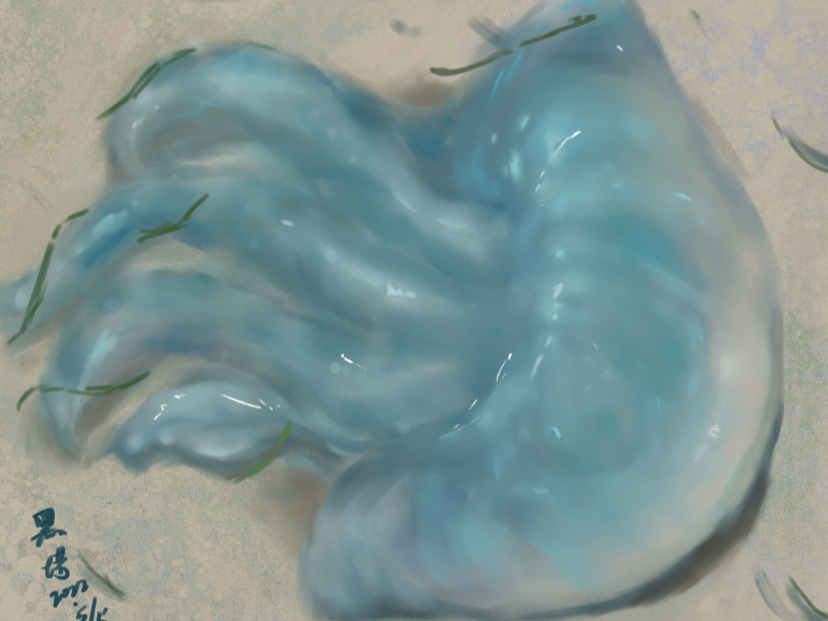 QQ弹弹小水母_黑塔琪凛-站酷ZCOOL