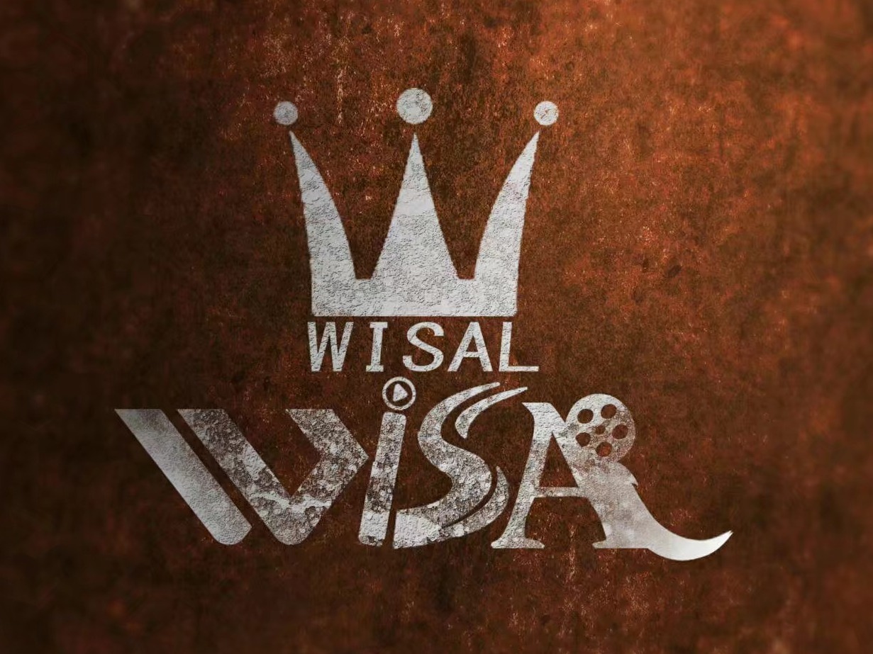 WISAL LOGO DESIGN_EKBERGD-站酷ZCOOL