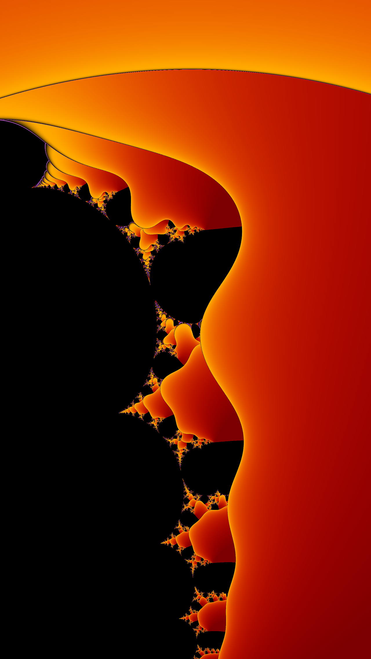 珊瑚_Gary扇貝-站酷ZCOOL