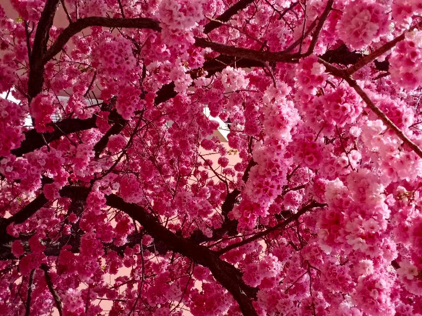 摄影_YongQ-站酷ZCOOL