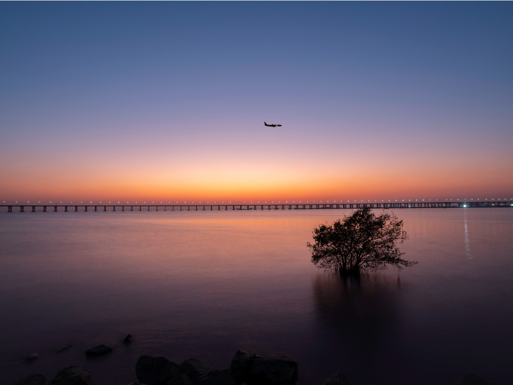 海_LLLUOJIEEE-站酷ZCOOL