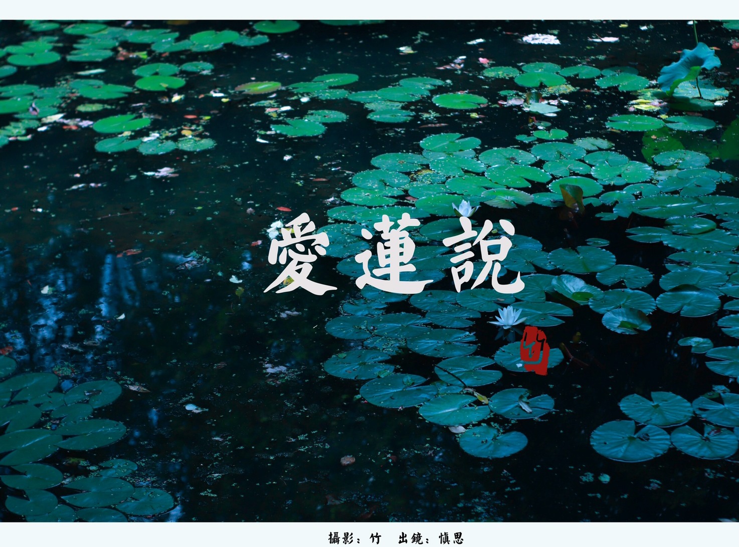 摄影作品【爱莲说】_Takeya竹也-站酷ZCOOL