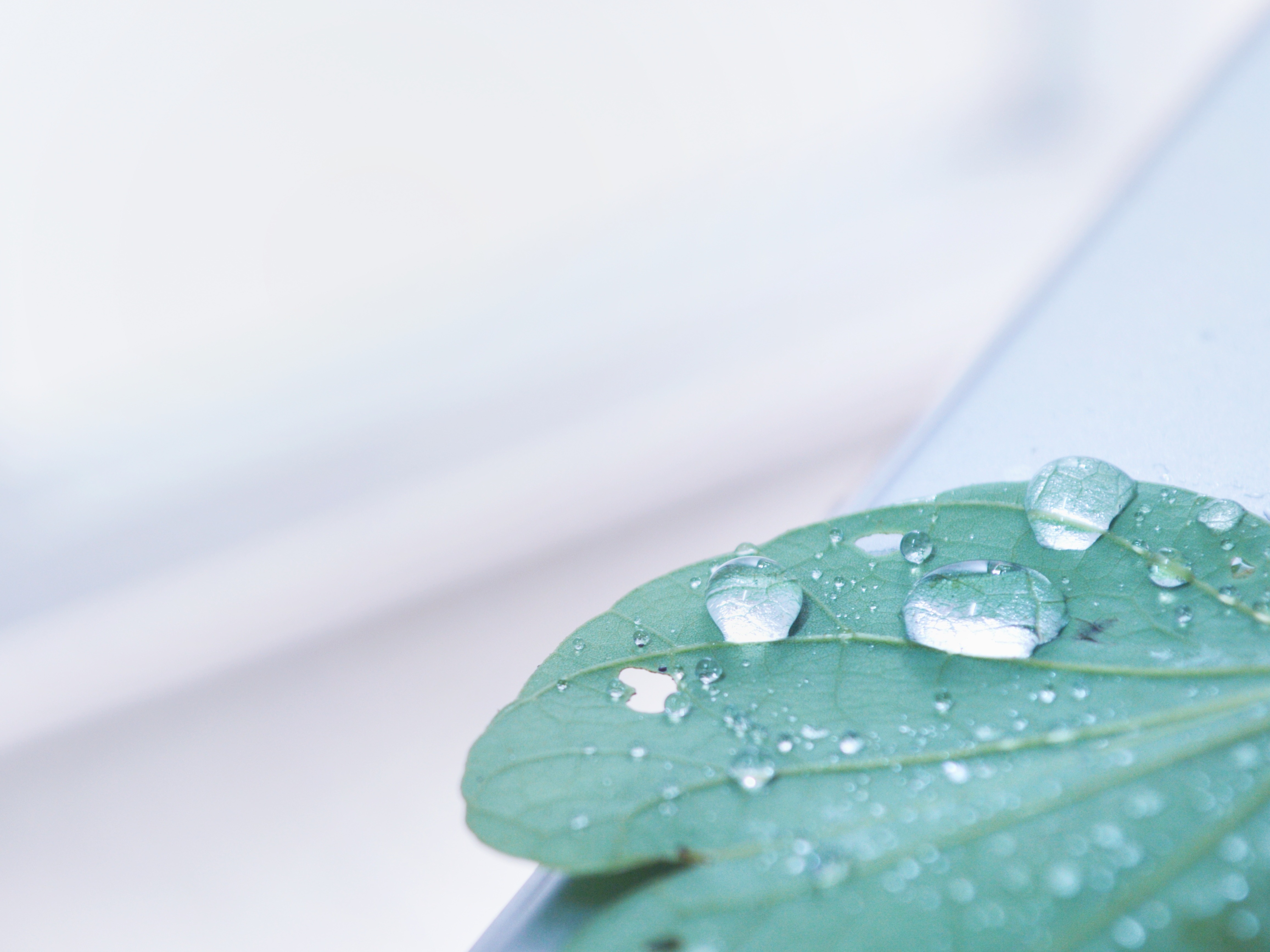 雨天摄影_裕多-站酷ZCOOL