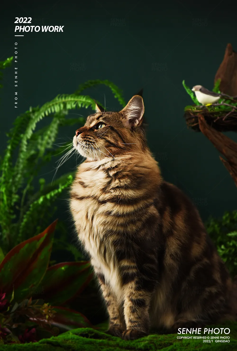 014c1861deb57111013e8cd0453c9a.jpg (1000×1479)