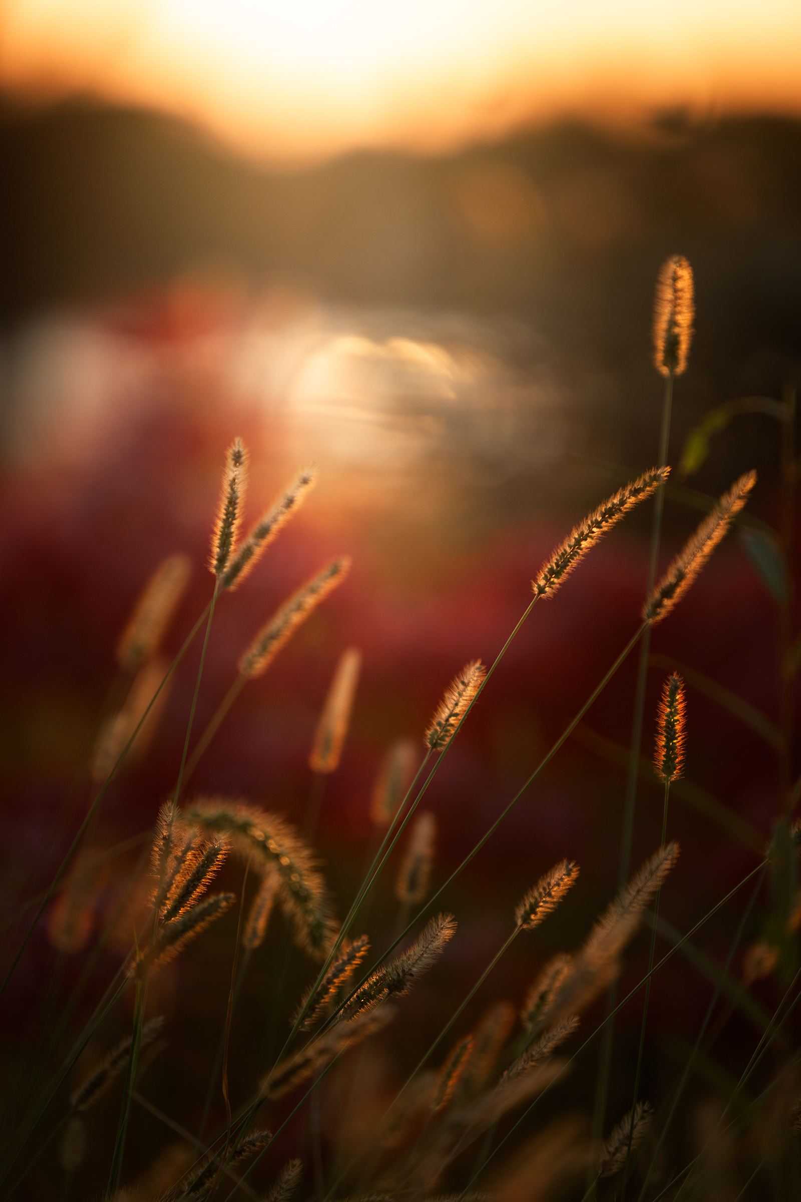 藏在身边的绝美光影_一切kkk-站酷ZCOOL