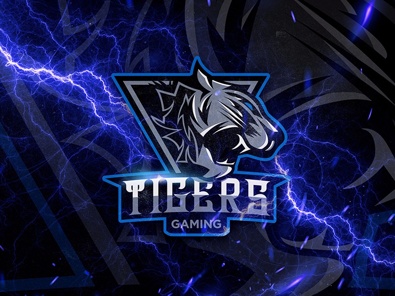 TIGERS GAMING 电竞品牌设计_Naniee-站酷ZCOOL