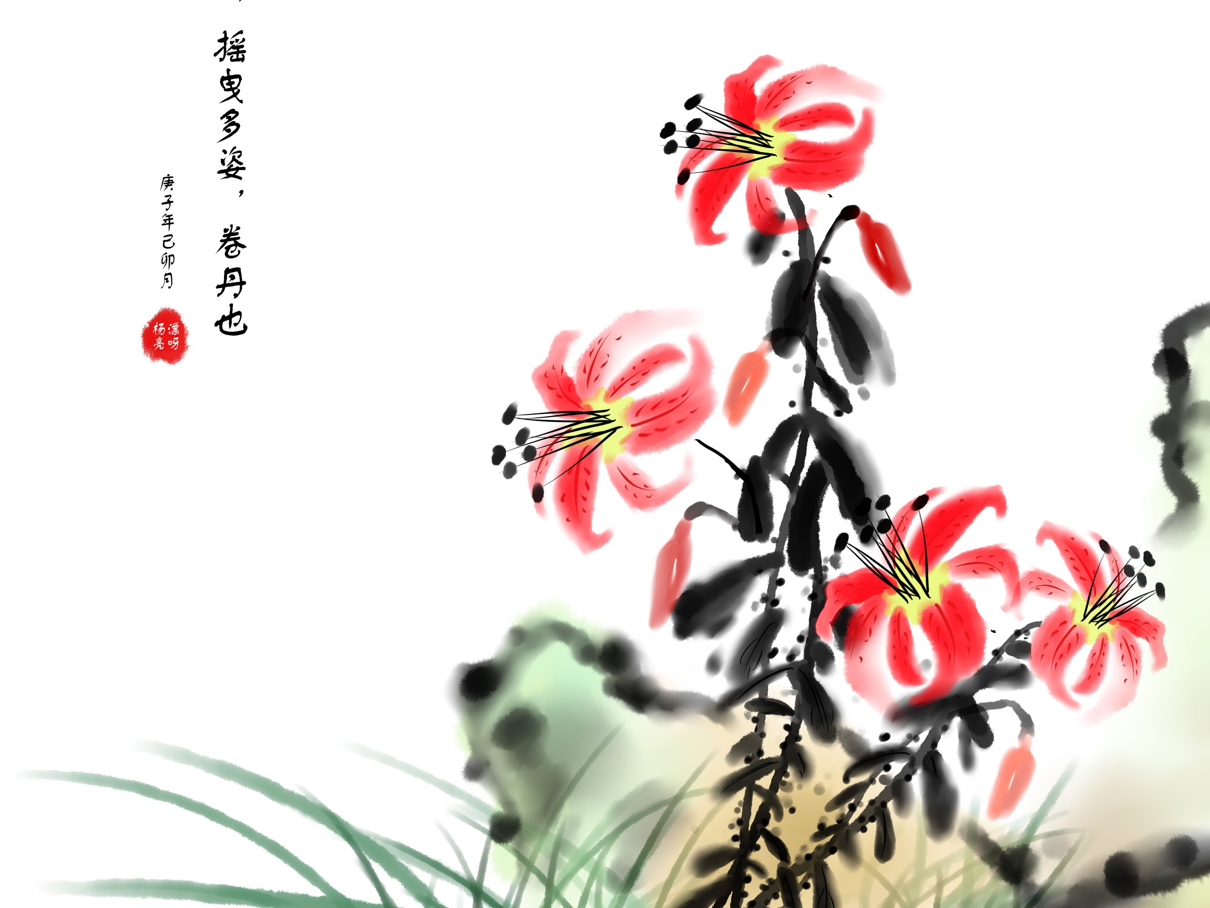 卷丹_是杨漂亮呀-站酷ZCOOL