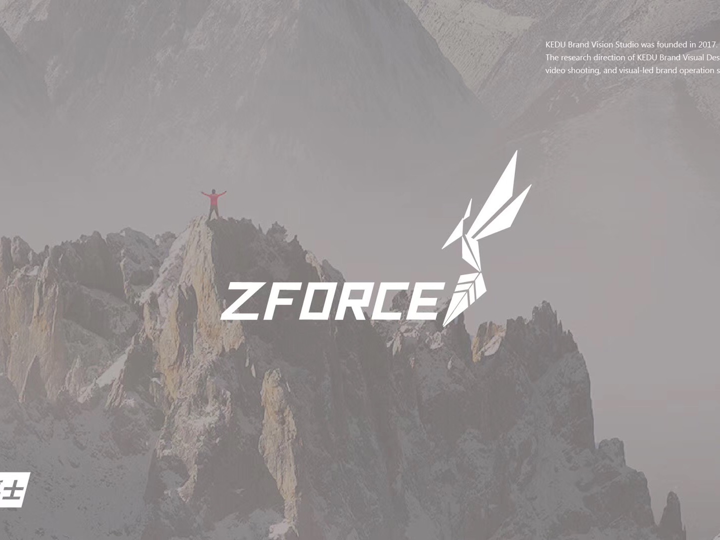 ZFORCE運動內衣形象設計 _刻度品牌研究室-站酷ZCOOL