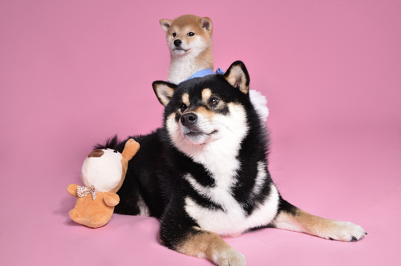 MILA&呜嘟嘟-父女_luoyingegg-站酷ZCOOL