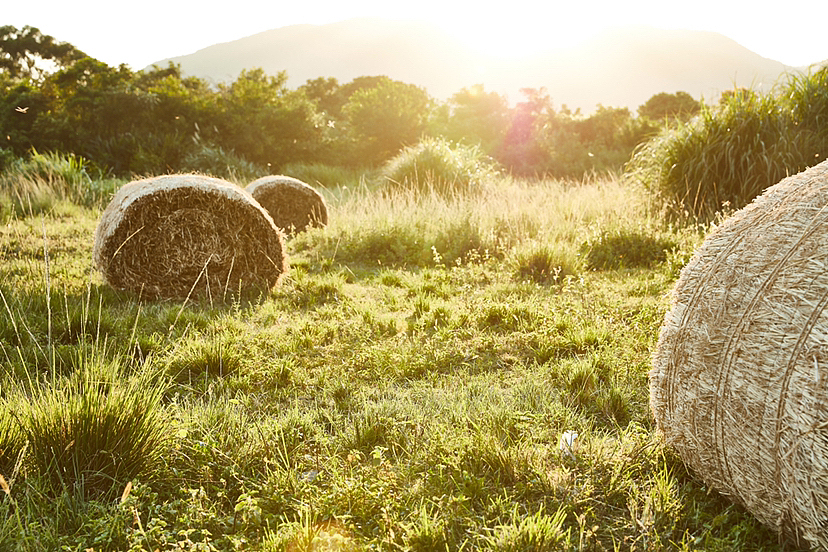 Fei ma_谦Chris-站酷ZCOOL