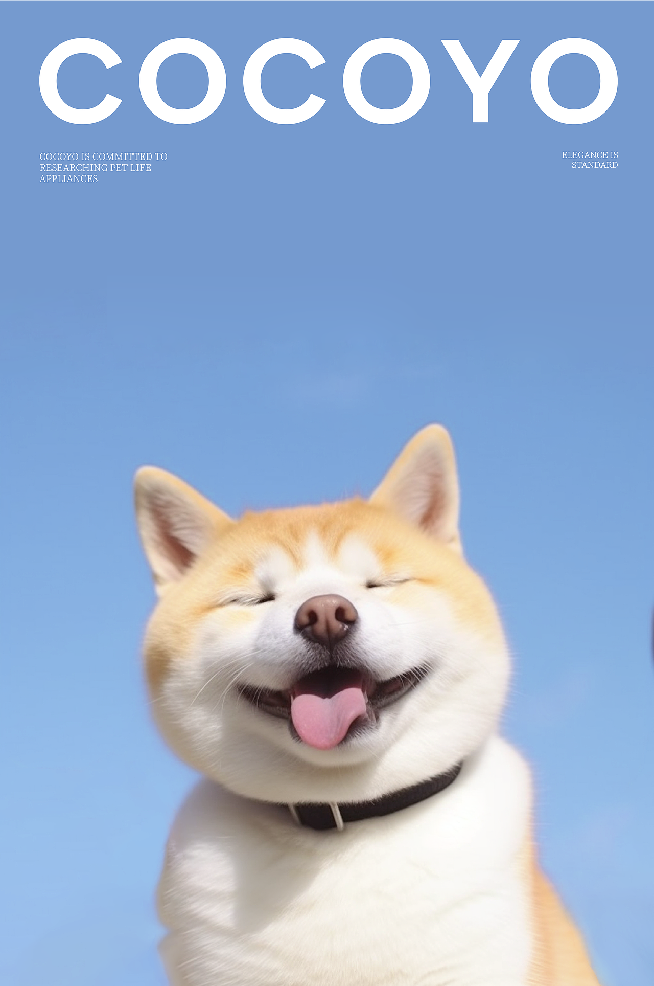 COCOYO扬爪 | 精致养宠的理想家_奎燕品牌创新社-站酷ZCOOL