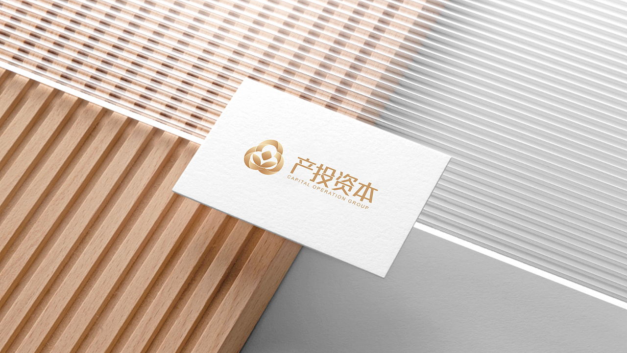 产投资本_豆酥先生-站酷ZCOOL