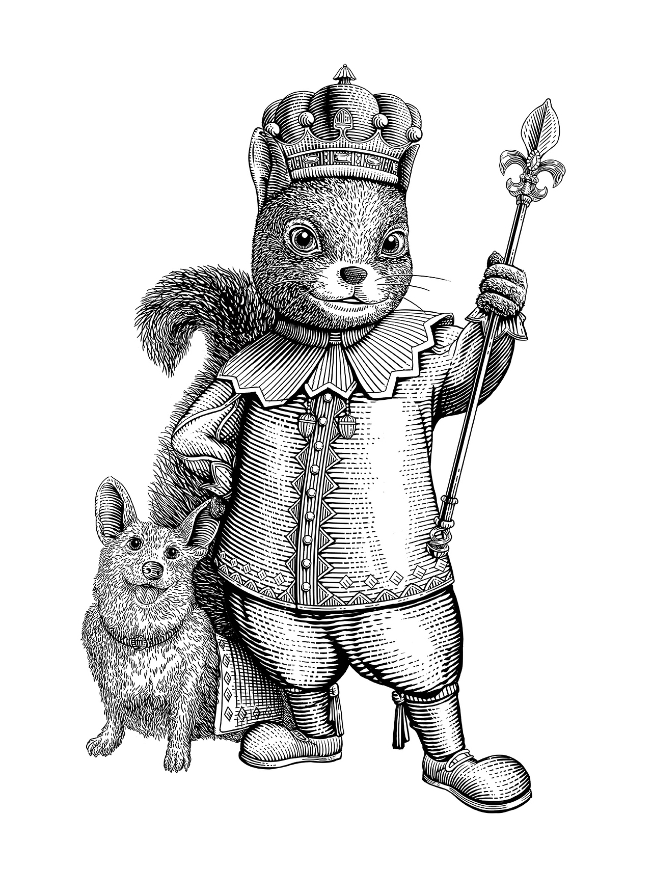 如水坚果｜松鼠家族插画设计_欧阳鹏杰_OY-站酷ZCOOL