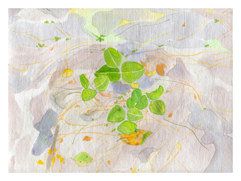 图片搜索 - 站酷（ZCOOL）