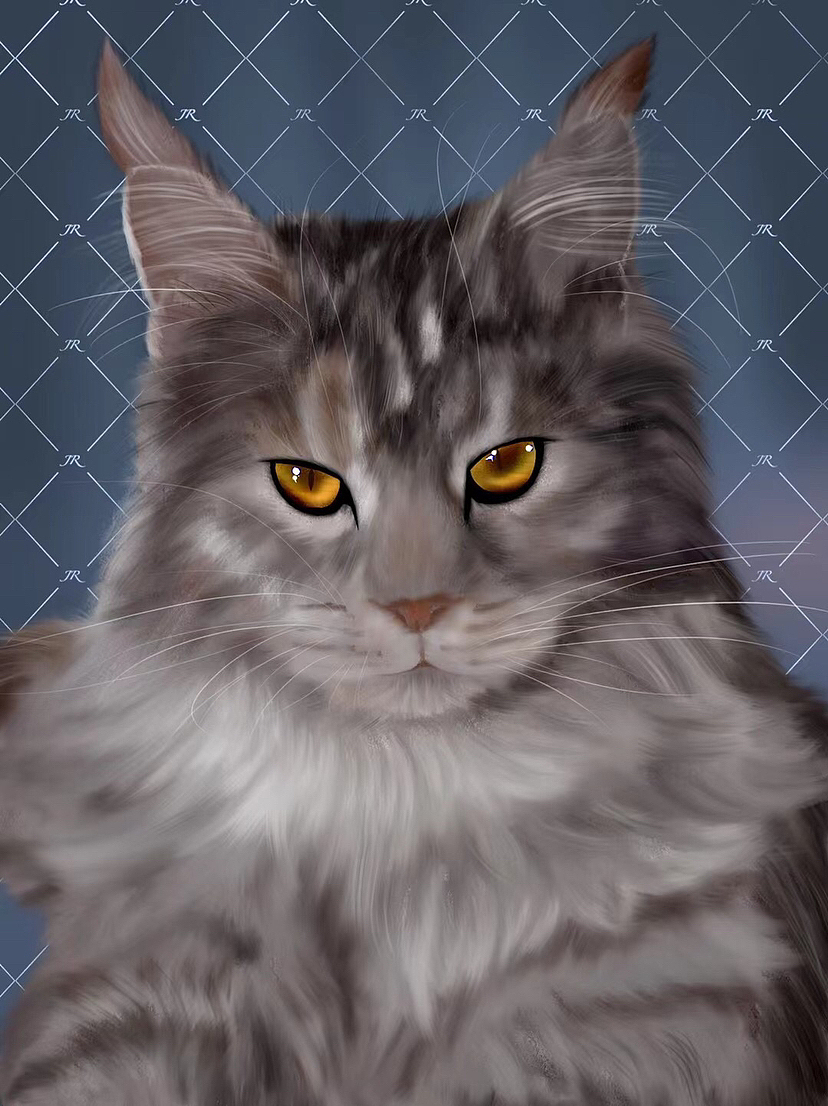 写实宠物插画_喜nnnR-站酷ZCOOL