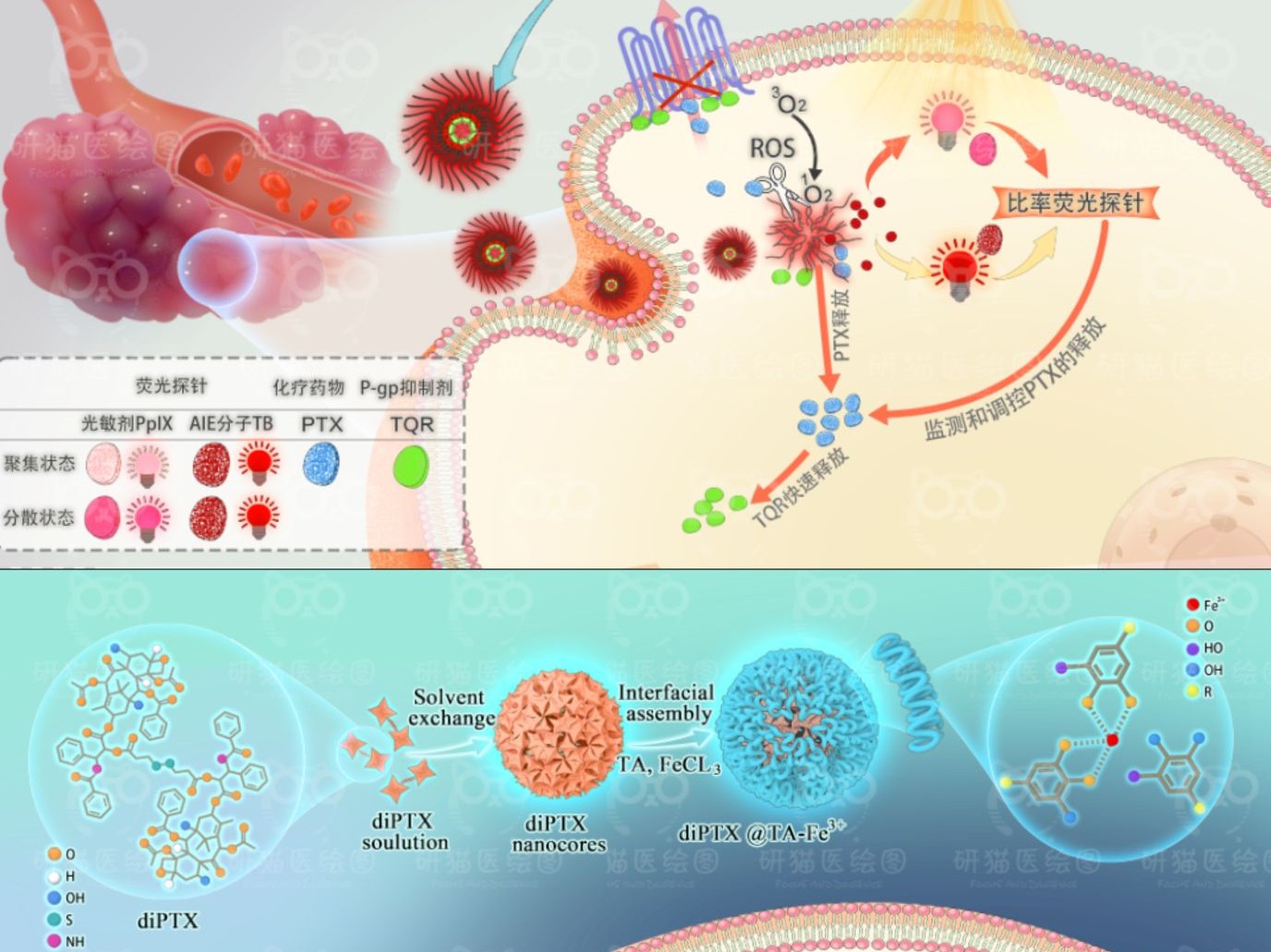 科研绘图论文插图机制图TOC 插图期刊封面化疗 光动力_科研绘图医学插图-站酷ZCOOL