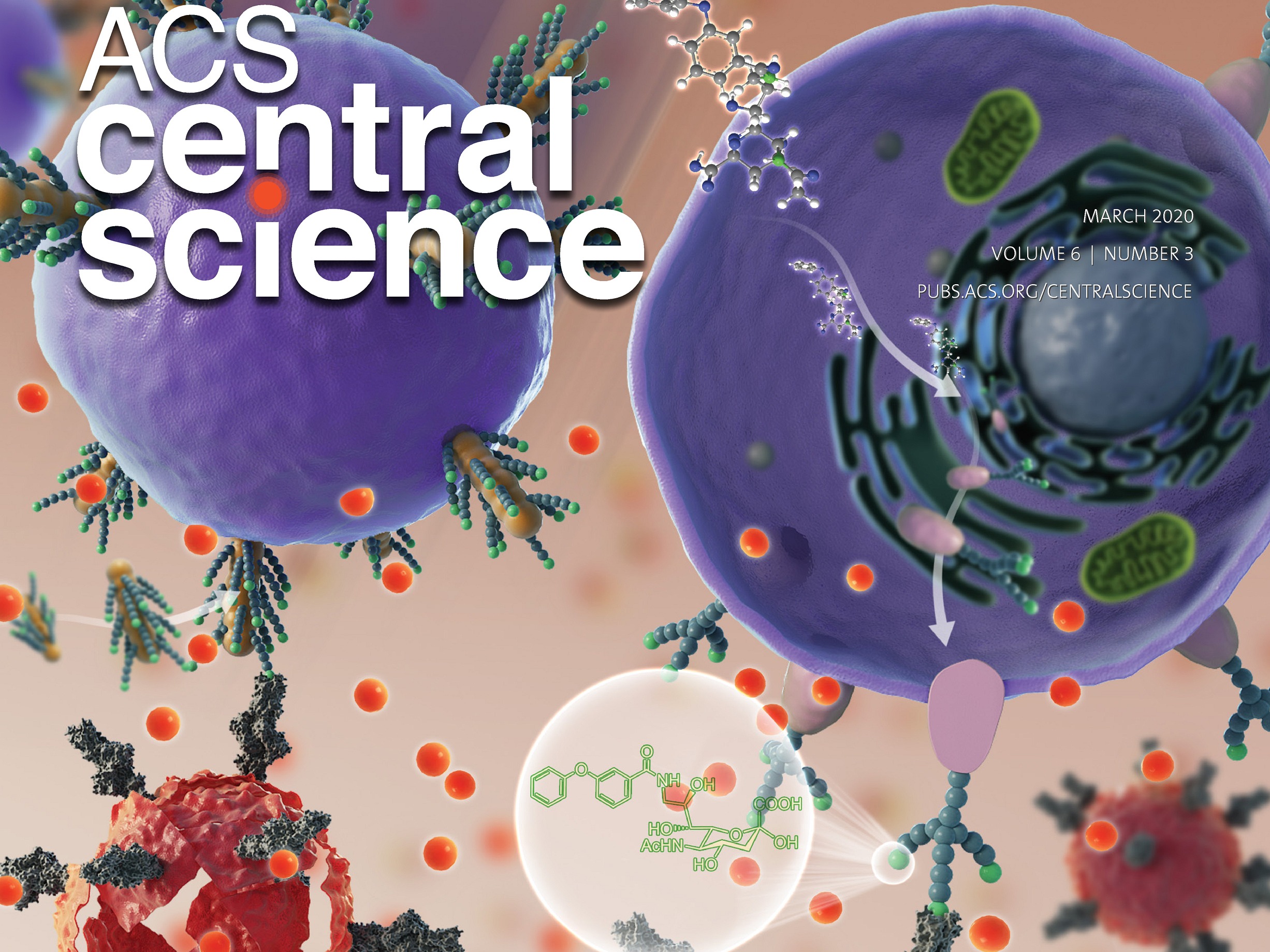 医学插画论文配图杂志sci封面设计科研绘图三维动画TOC_邦图文化-站酷ZCOOL