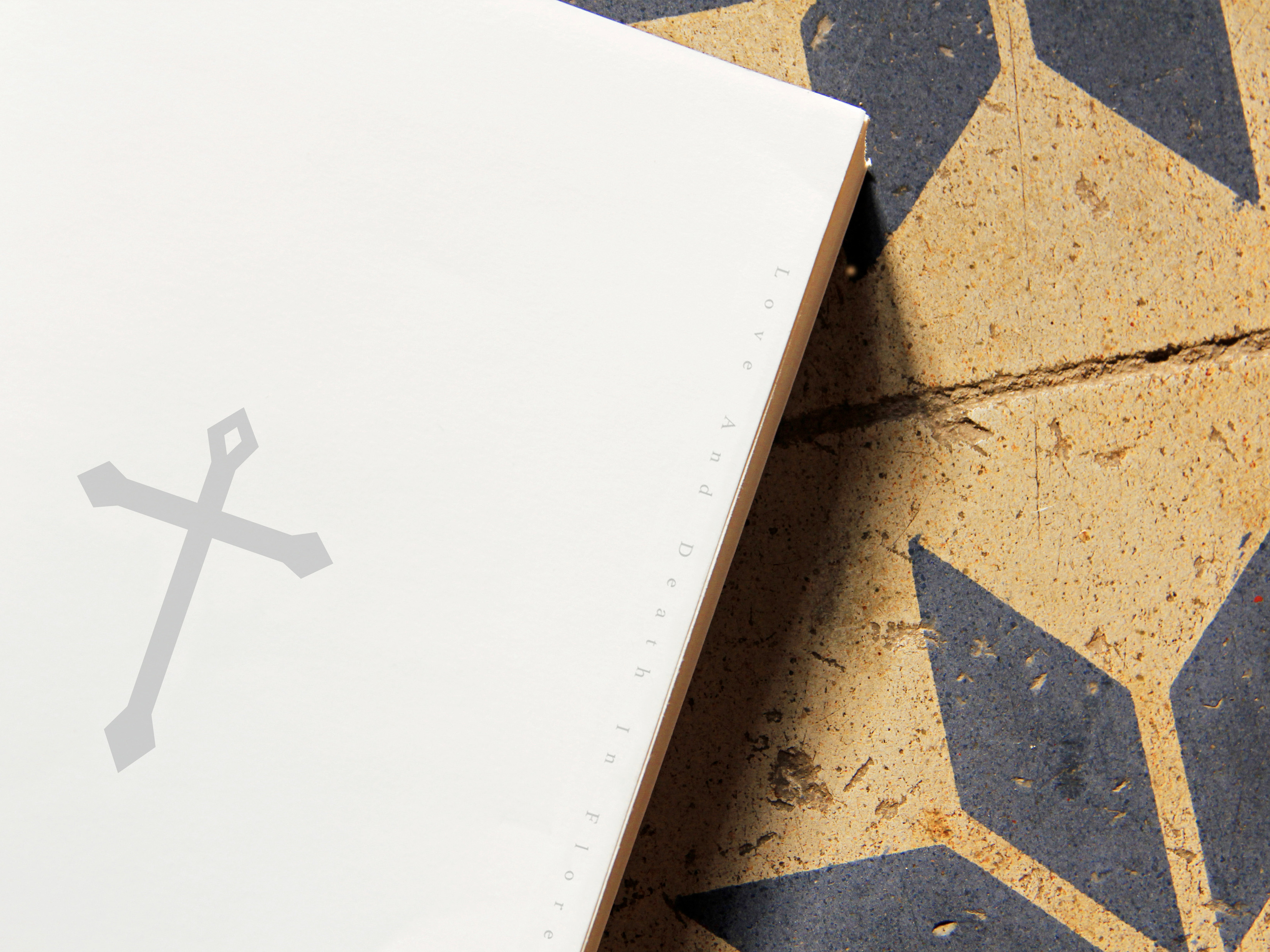 维纳斯的诞生_shinorz-站酷ZCOOL