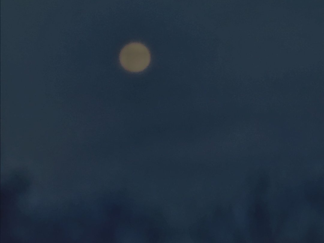 BULE MOON_今天也很甜呢-站酷ZCOOL