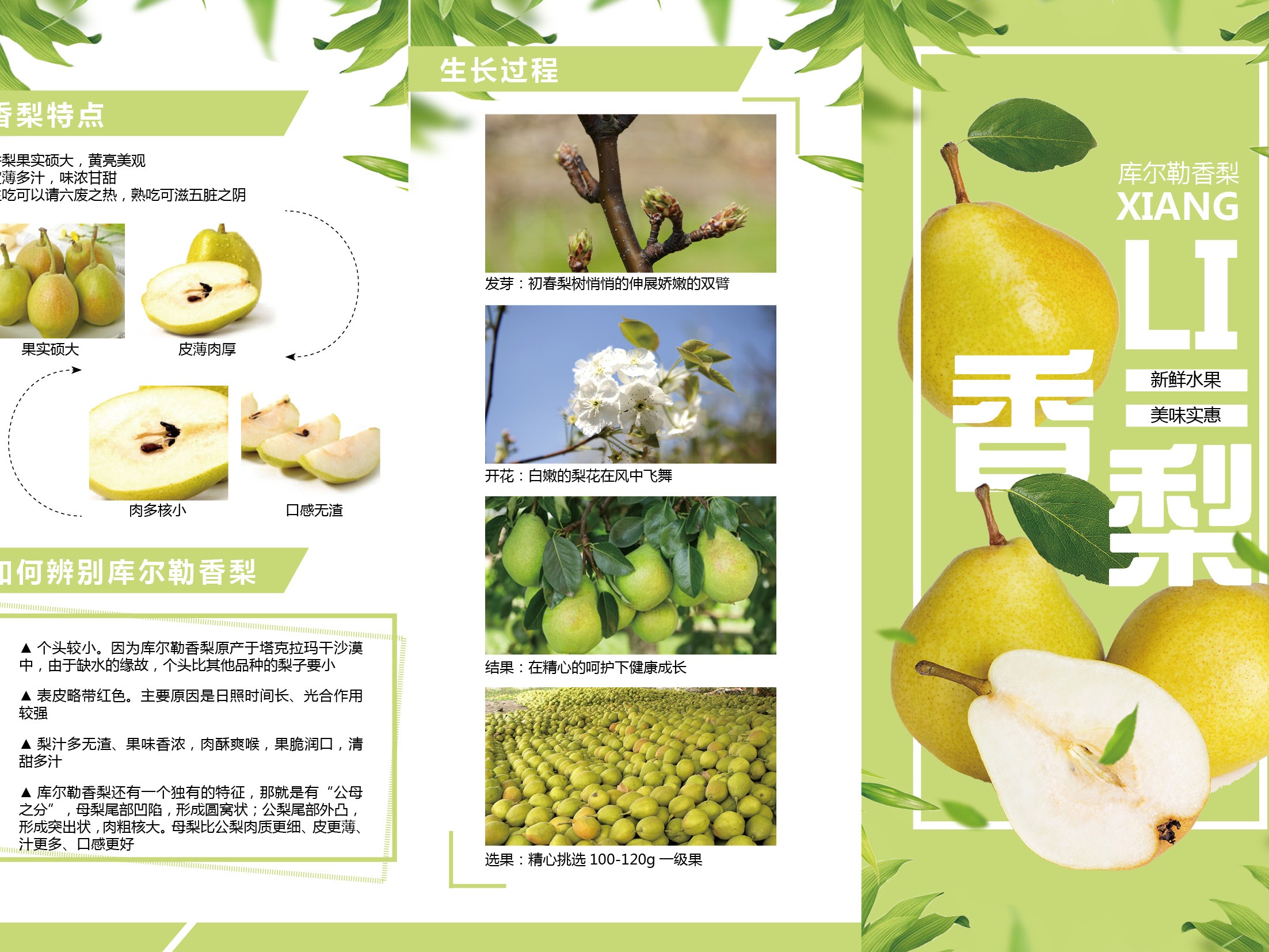 id排版_素材网站_图片免费下载-ZCOOL站酷