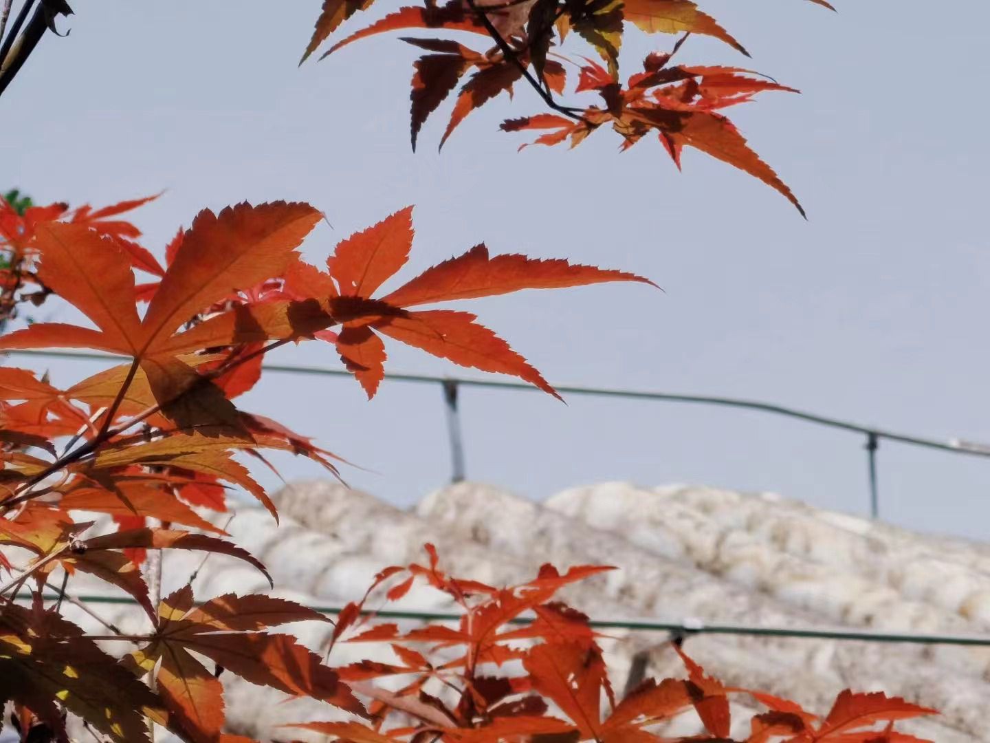 9710跨境电商政策_Z188294222-站酷ZCOOL