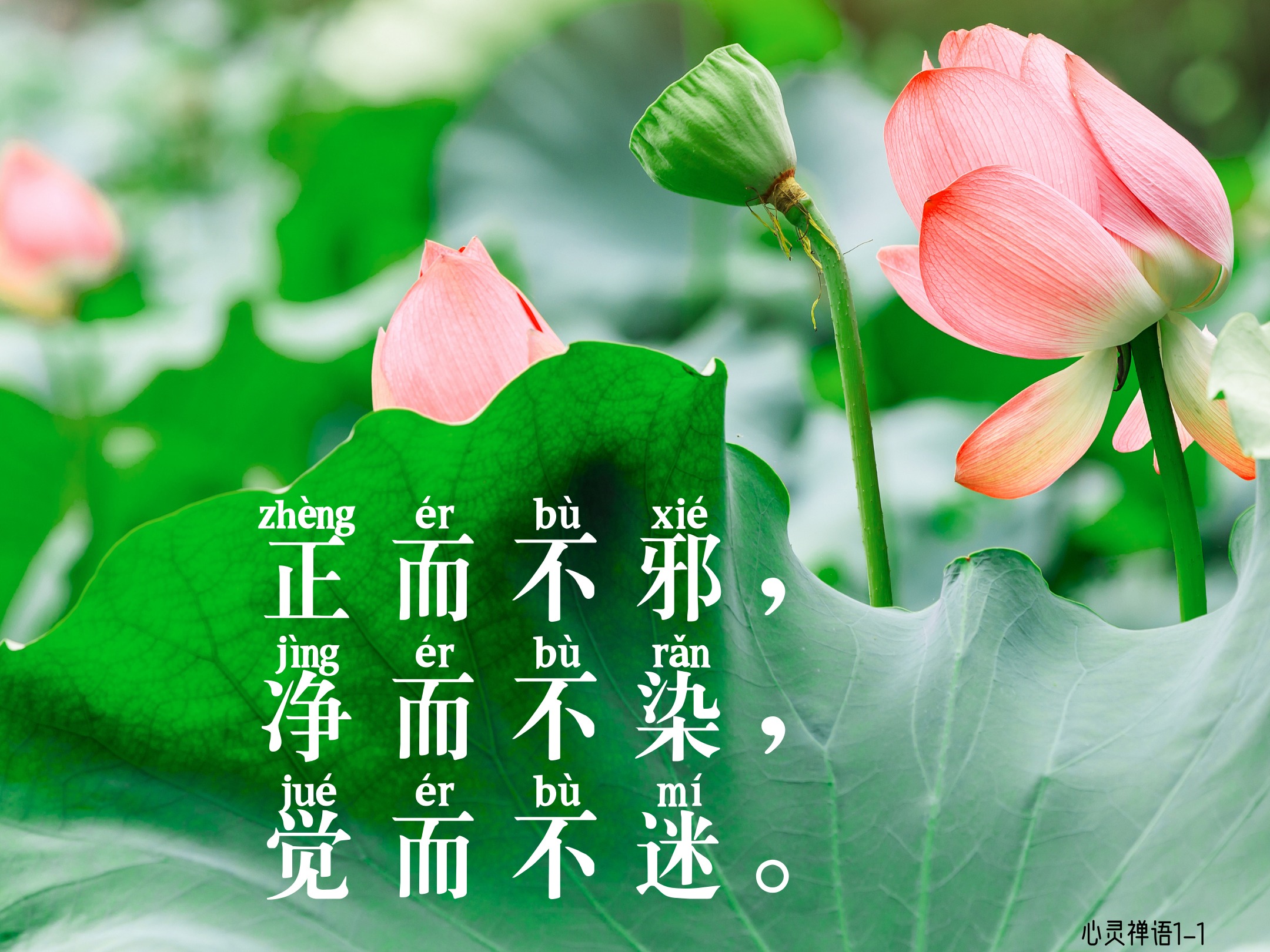 早安！正能量_星星点灯1234567-站酷ZCOOL