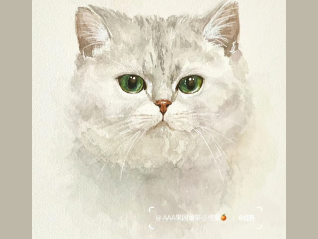 猫咪_AAA橙子头-站酷ZCOOL