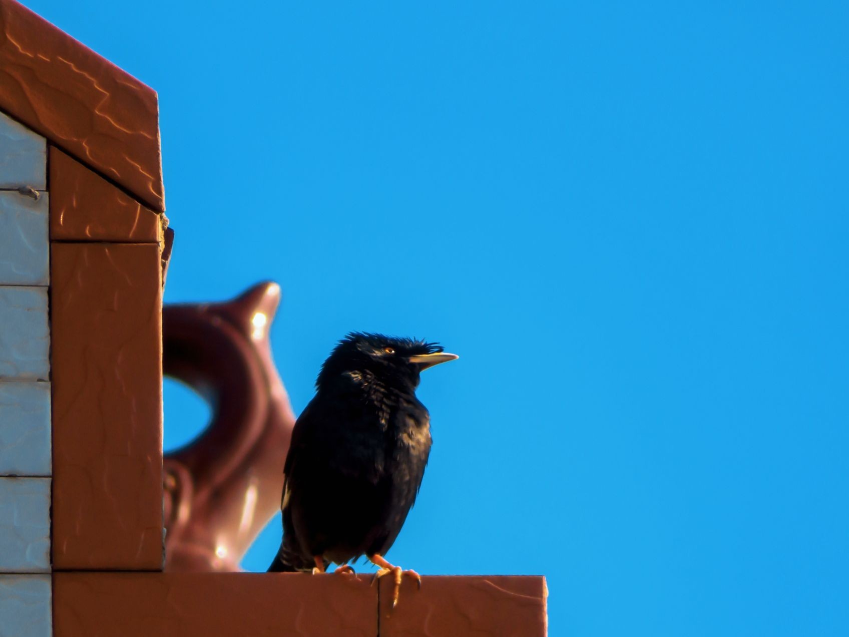 憧憬美好_Z534147285-站酷ZCOOL