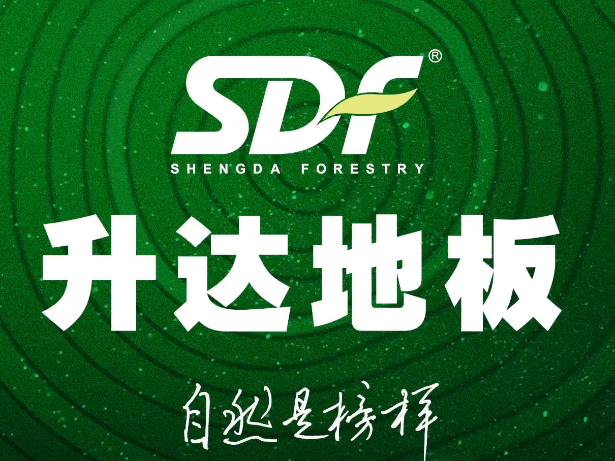 升达地板TVC广告-时光剪影-成都广告片_yejiang-站酷ZCOOL