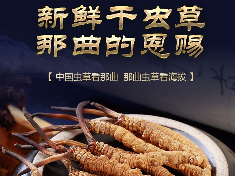 扎西臧宝那曲虫草详情页展示_金城网视-站酷ZCOOL