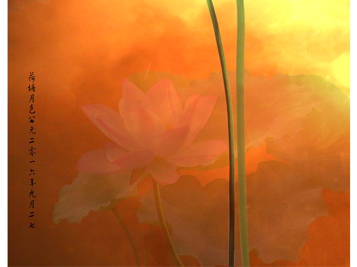 荷塘夜色_Jane1234-站酷ZCOOL