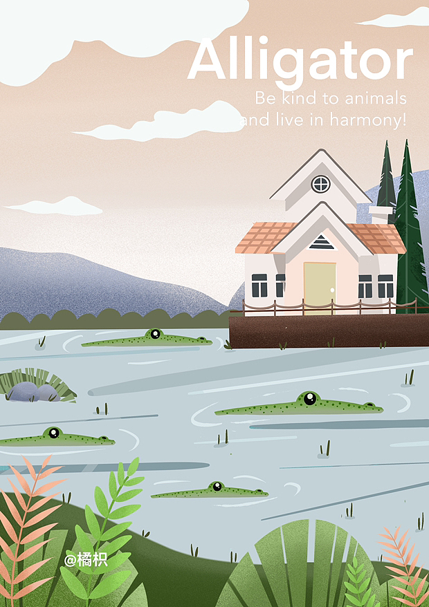 扁平风格｜保护野生动物系列插画_橘枳JZ-站酷ZCOOL