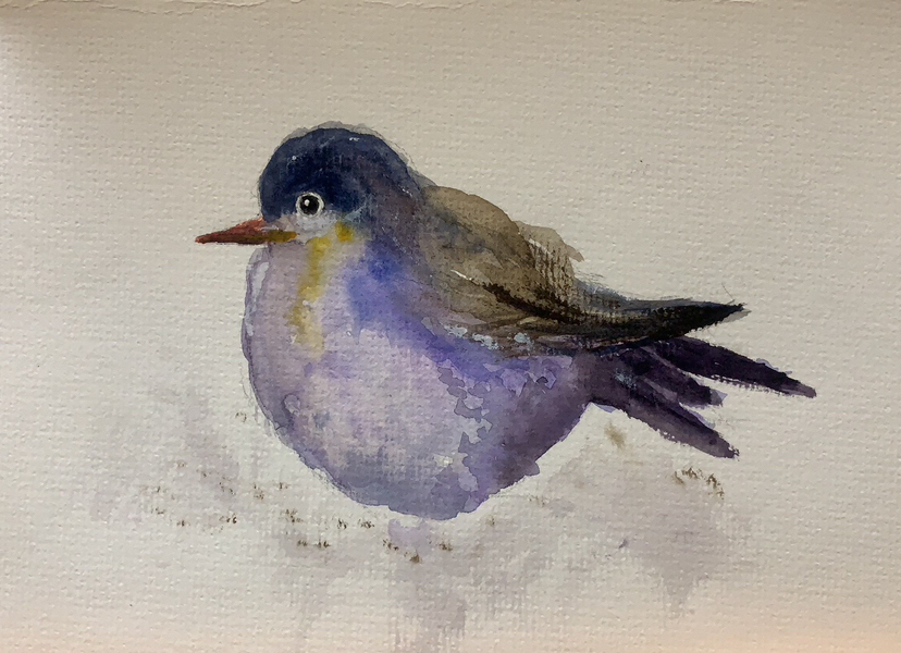 练习_PrincessTanya-站酷ZCOOL