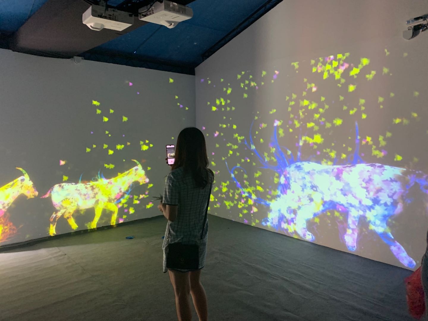 全息互动光影展花之动物园_TMTT全息光影-站酷ZCOOL