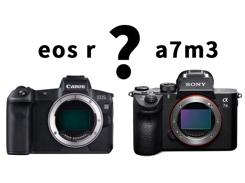一个严重的拍摄事故让我在eos r和a7m3中作出了选择。_金光高照商业摄影-站酷ZCOOL