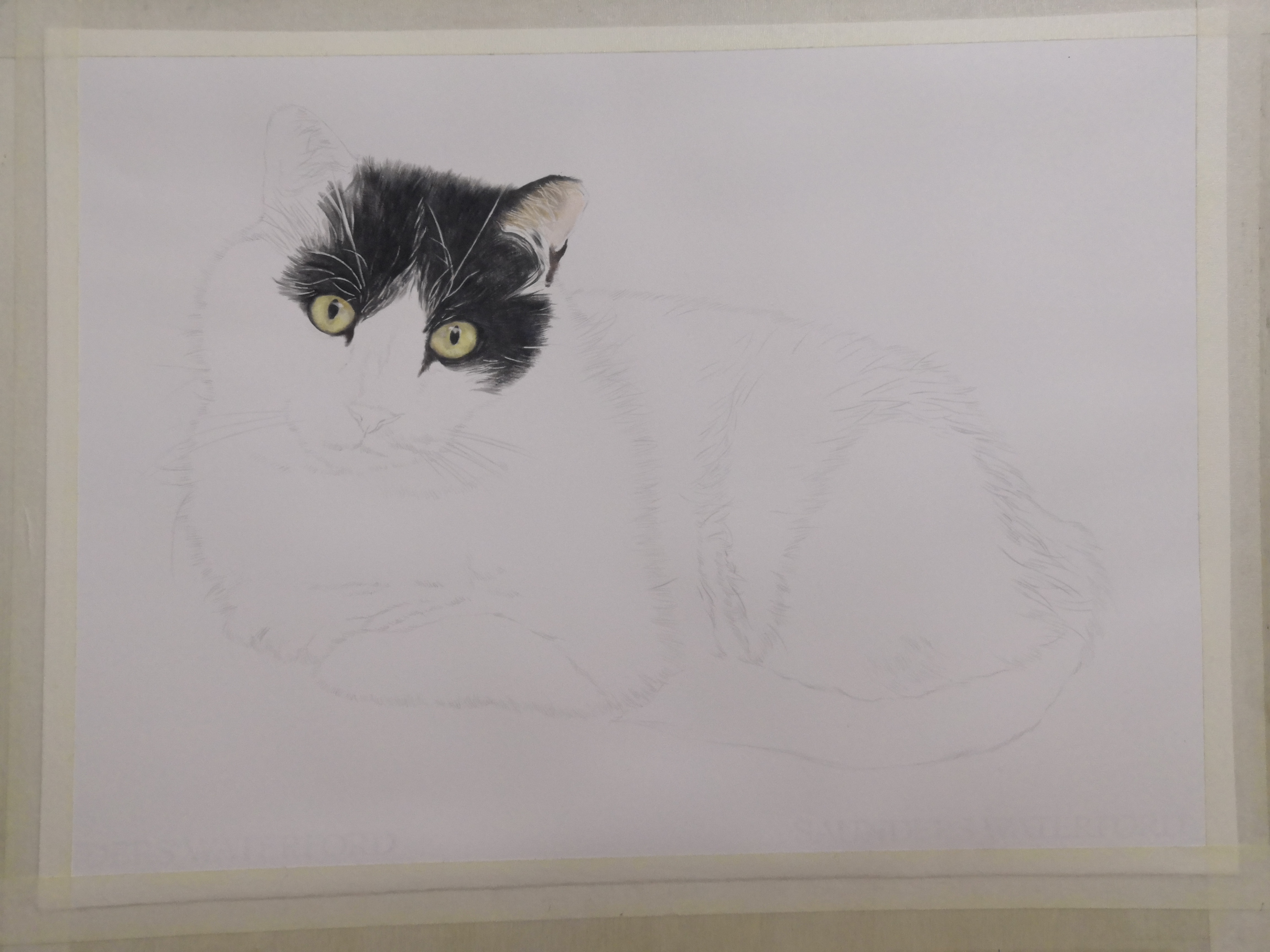 流浪的小猫_Rinka谨制-站酷ZCOOL