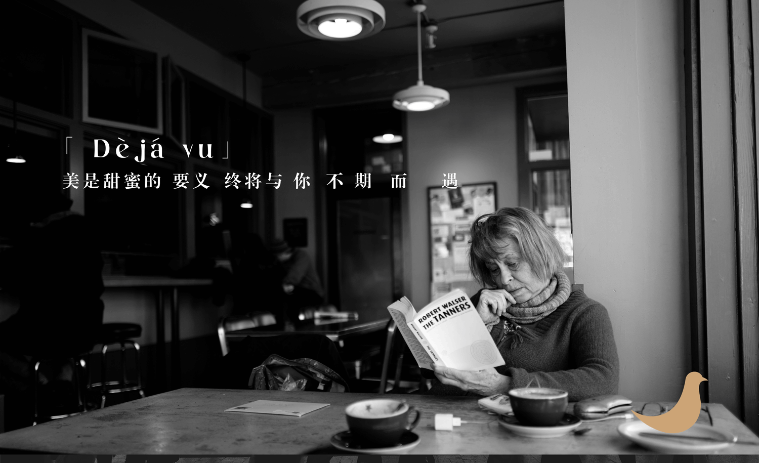 Mof Dessert- 独立甜品设计工作室_高烧传播-站酷ZCOOL