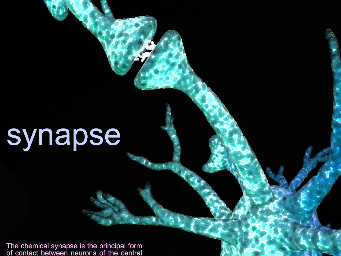 Synapse_潘迏华一-站酷ZCOOL