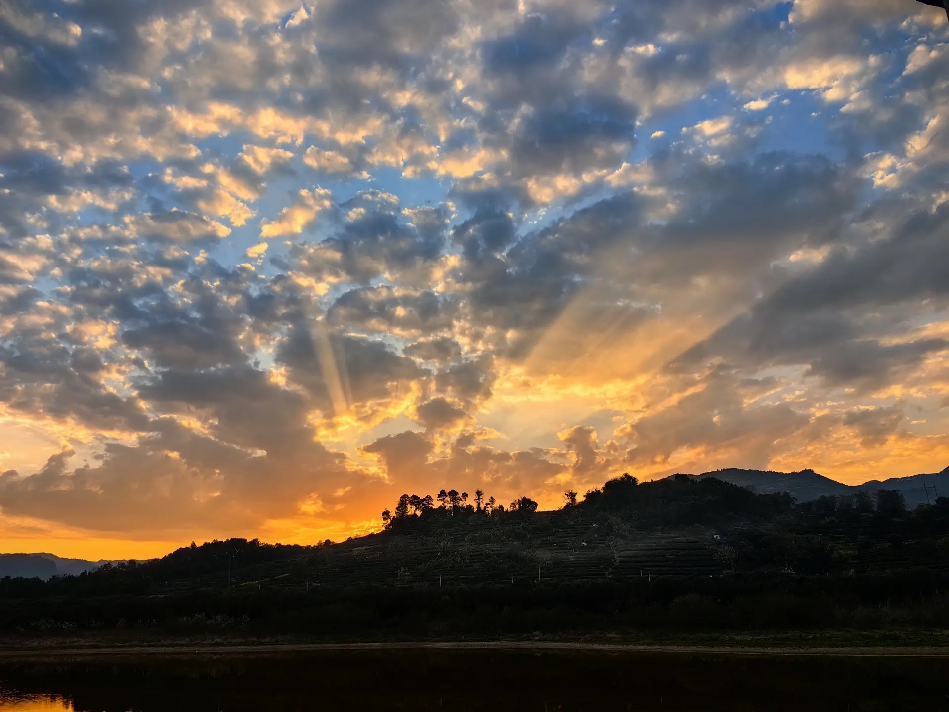 路在前_Z657986255-站酷ZCOOL