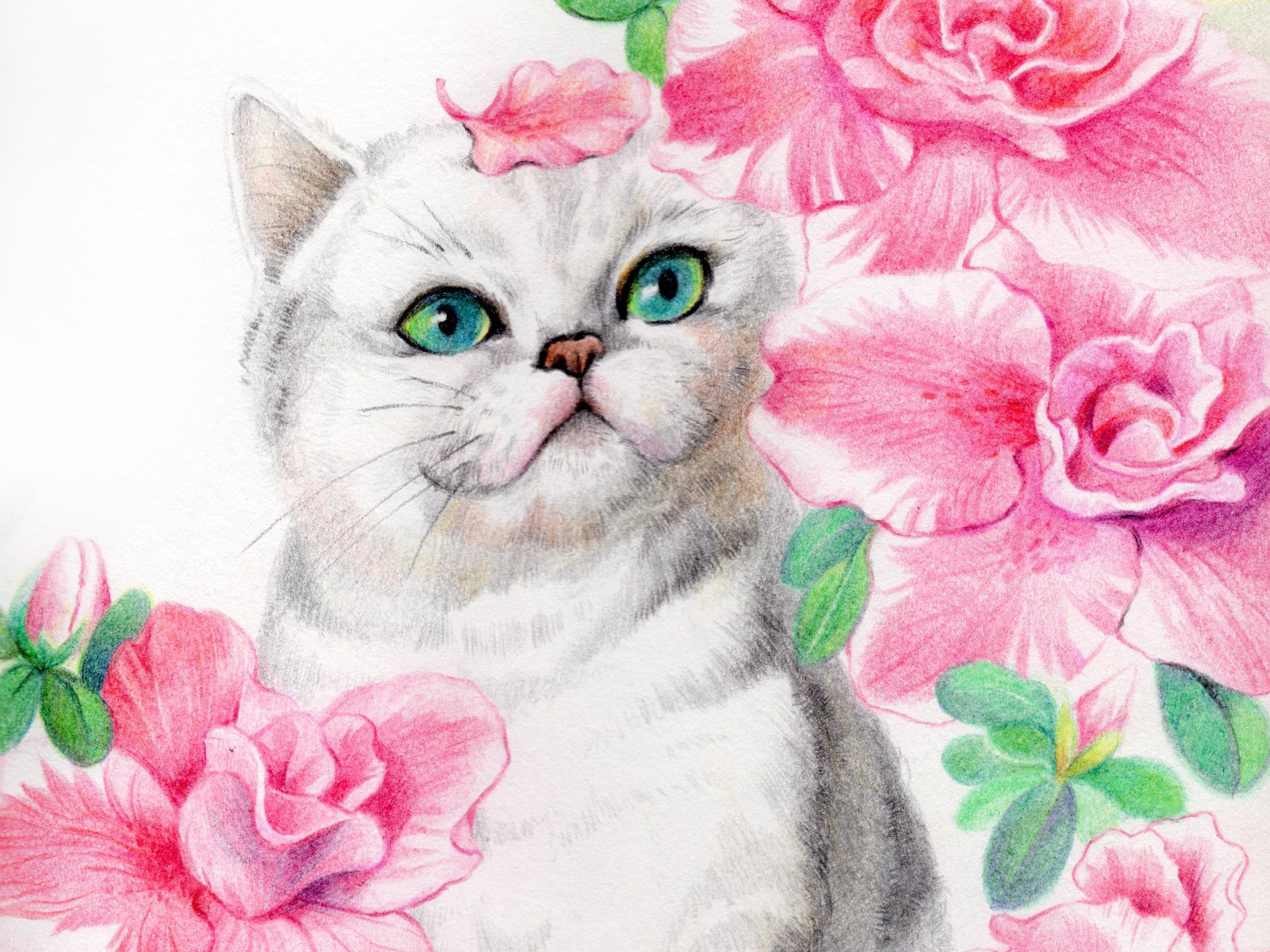 【彩铅手绘】宠物肖像系列-猫与花草_北极以北821015-站酷ZCOOL