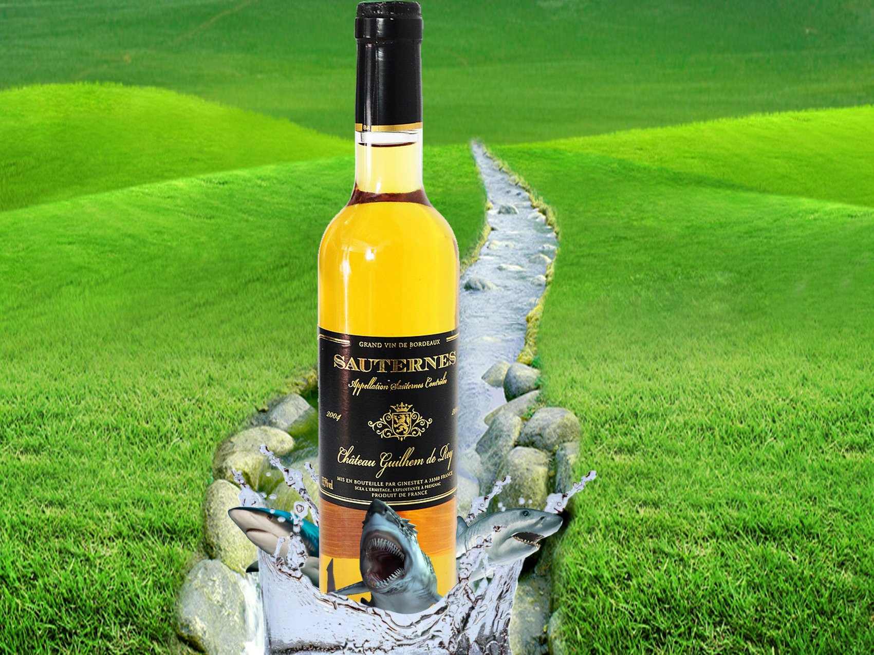 酒瓶与鲨鱼_keenely-站酷ZCOOL