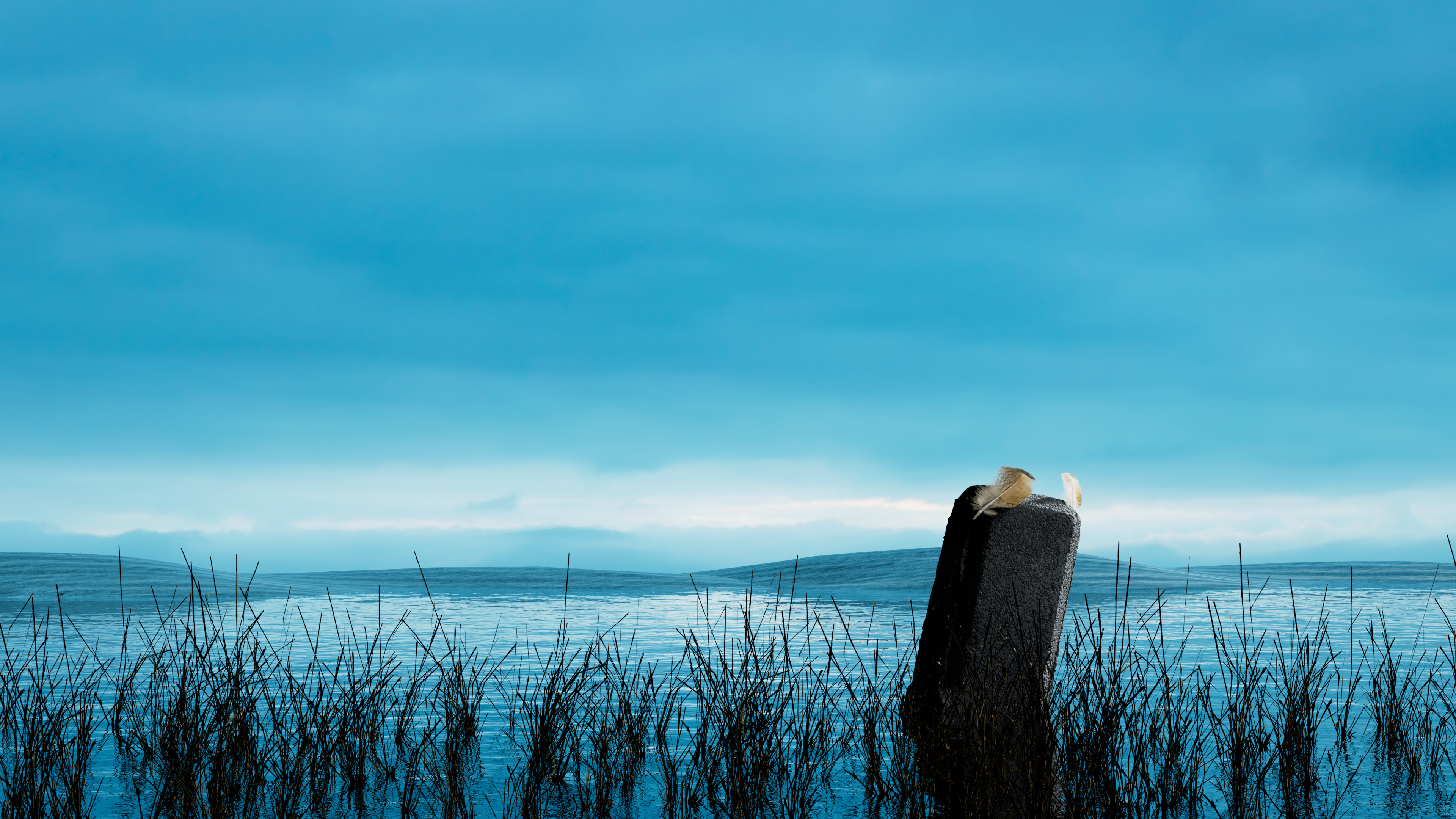 Shadow Series wallpapers_米夏小雨-站酷ZCOOL