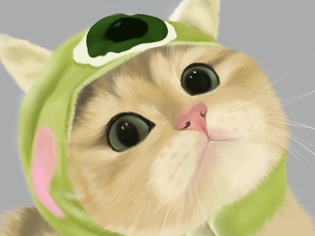 猫咪_不朽的sky-站酷ZCOOL