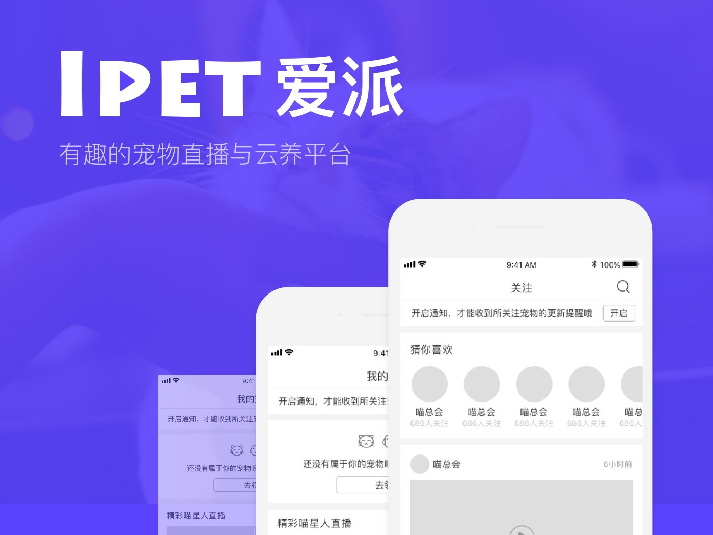 宠物直播平台-Ipet/爱派App交互设计_一只小蜜蜂w-站酷ZCOOL