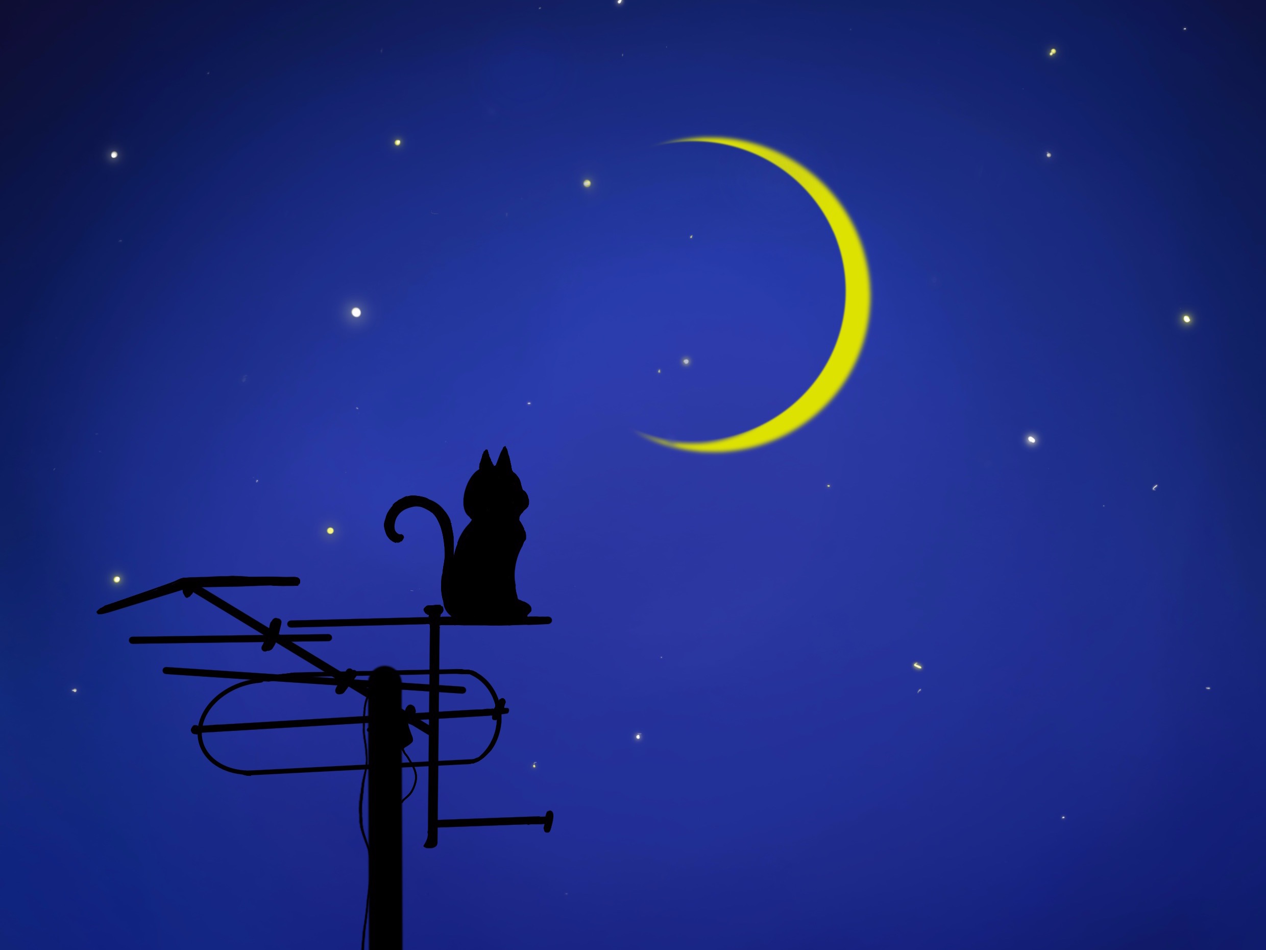 猫咪（临摹）_RAE_LIN-站酷ZCOOL