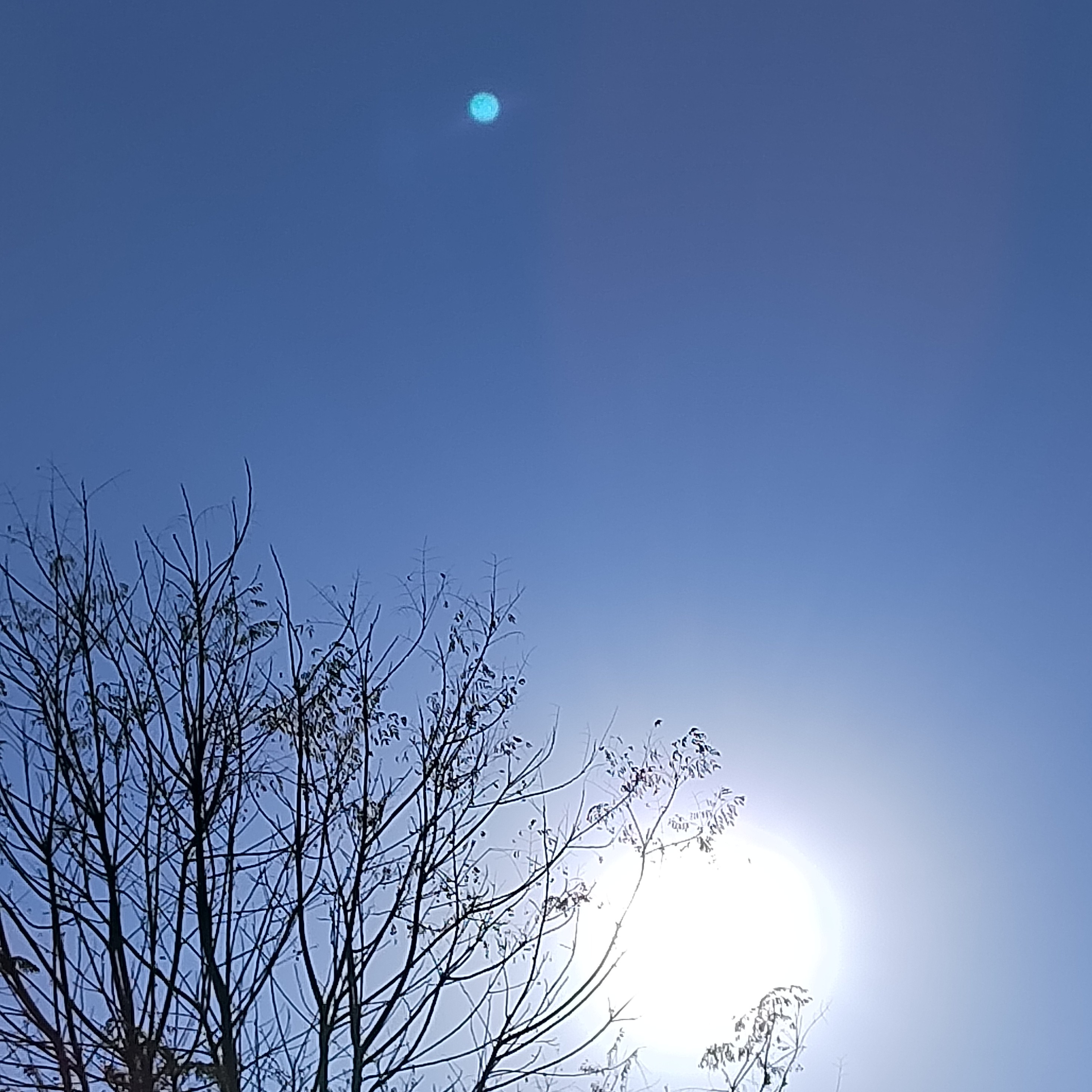 无敌小馄饨个人主页_长沙艺术工作者-站酷ZCOOL