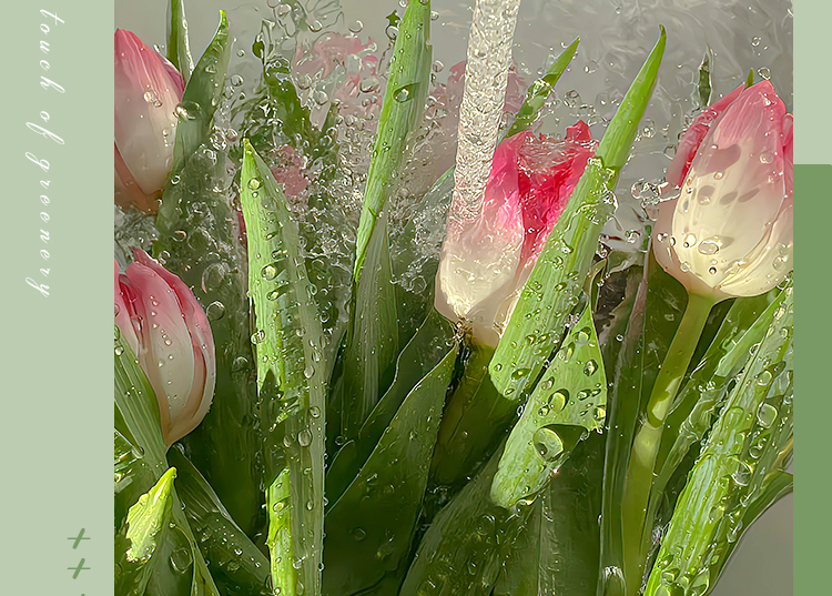 ins文艺风：绿_静沐yyy-站酷ZCOOL