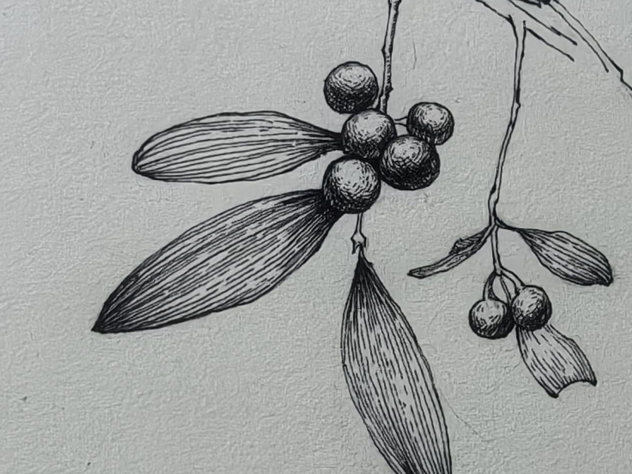 绘画日常_当然是狐狸了-站酷ZCOOL