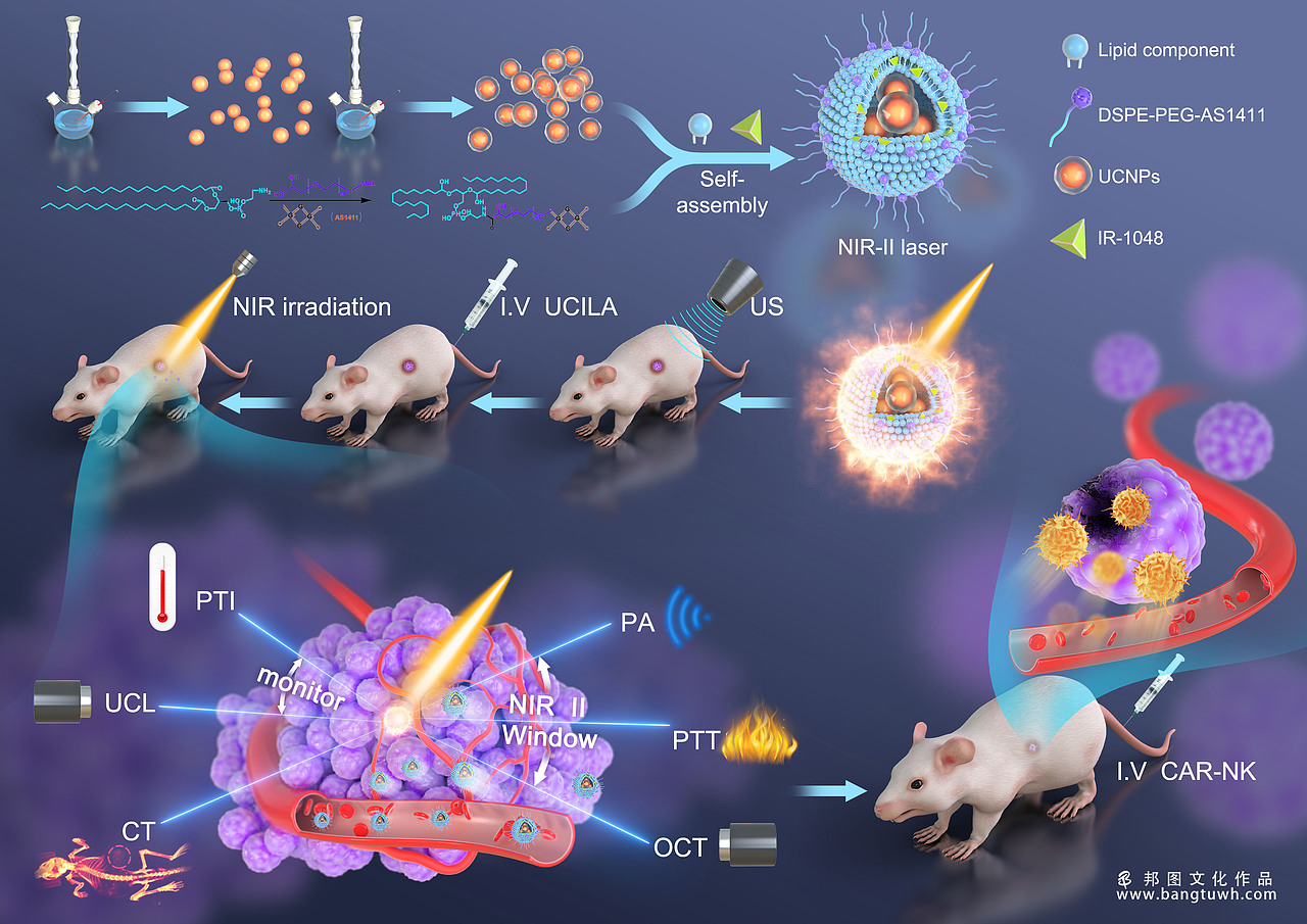 论文配图设计 示意图 TOC作品展示_邦图文化-站酷ZCOOL